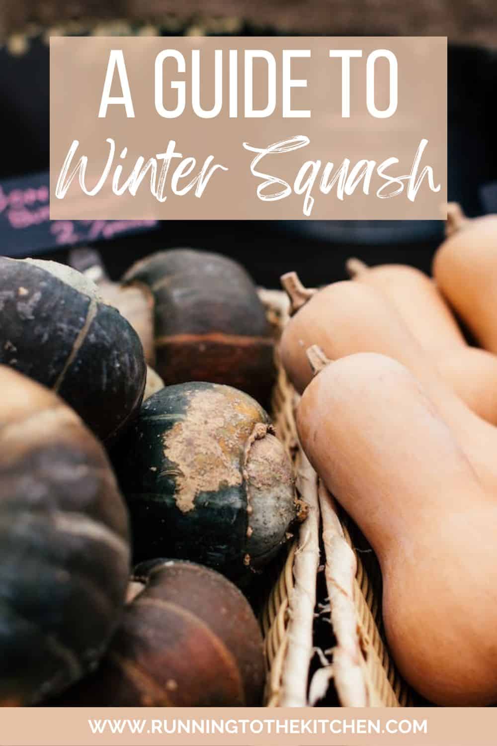 Winter Squash 101: A Deep Dive Into 13 Varieties - Running to the Kitchen®