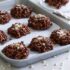 Puffed Millet Cookies - Millet Cookies with Chocolate and Cranberries