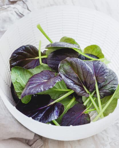 Tatsoi Recipe - Purple Tatsoi Salad with Tahini Dressing