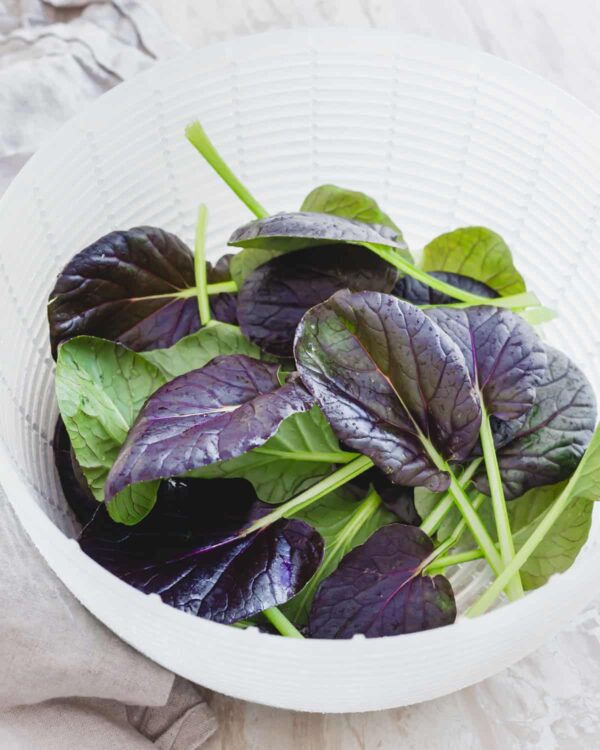 Tatsoi Recipe - Purple Tatsoi Salad with Tahini Dressing