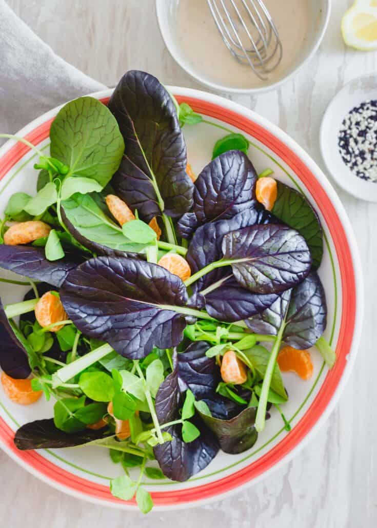 Tatsoi Recipe - Purple Tatsoi Salad with Tahini Dressing