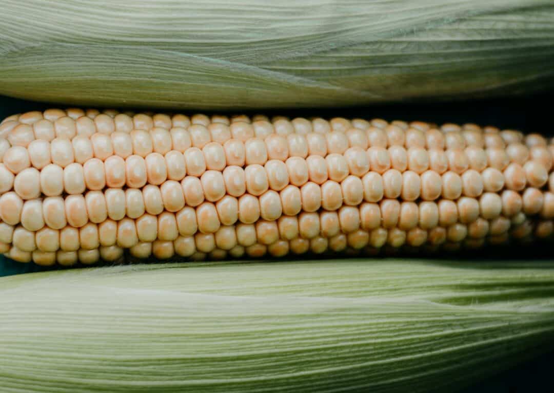 How to Freeze Corn on the Cob - Running to the Kitchen®