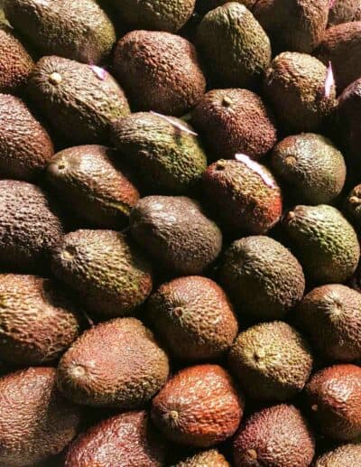 Discovering the Diverse Types of Avocados - Running to the Kitchen®