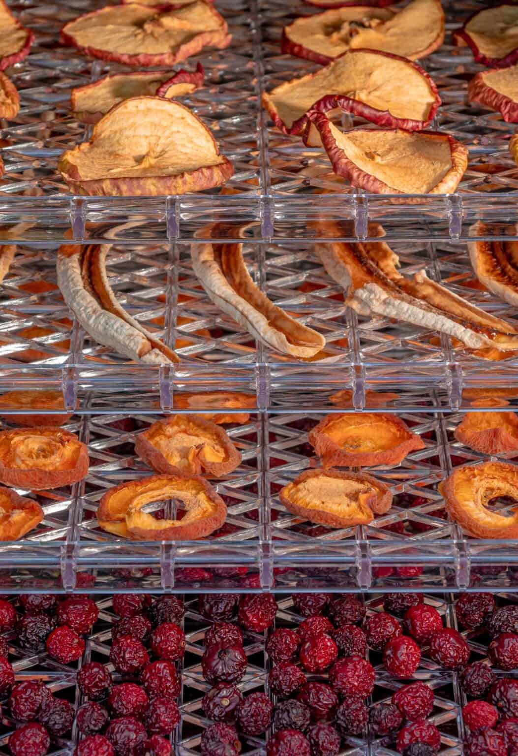 Best Foods to Dehydrate for Beginners - Running to the Kitchen®