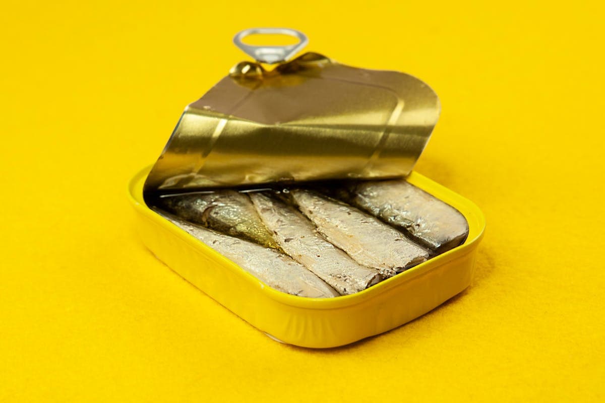 Everything You Need to Know About Canned Sardines - Running to the Kitchen®