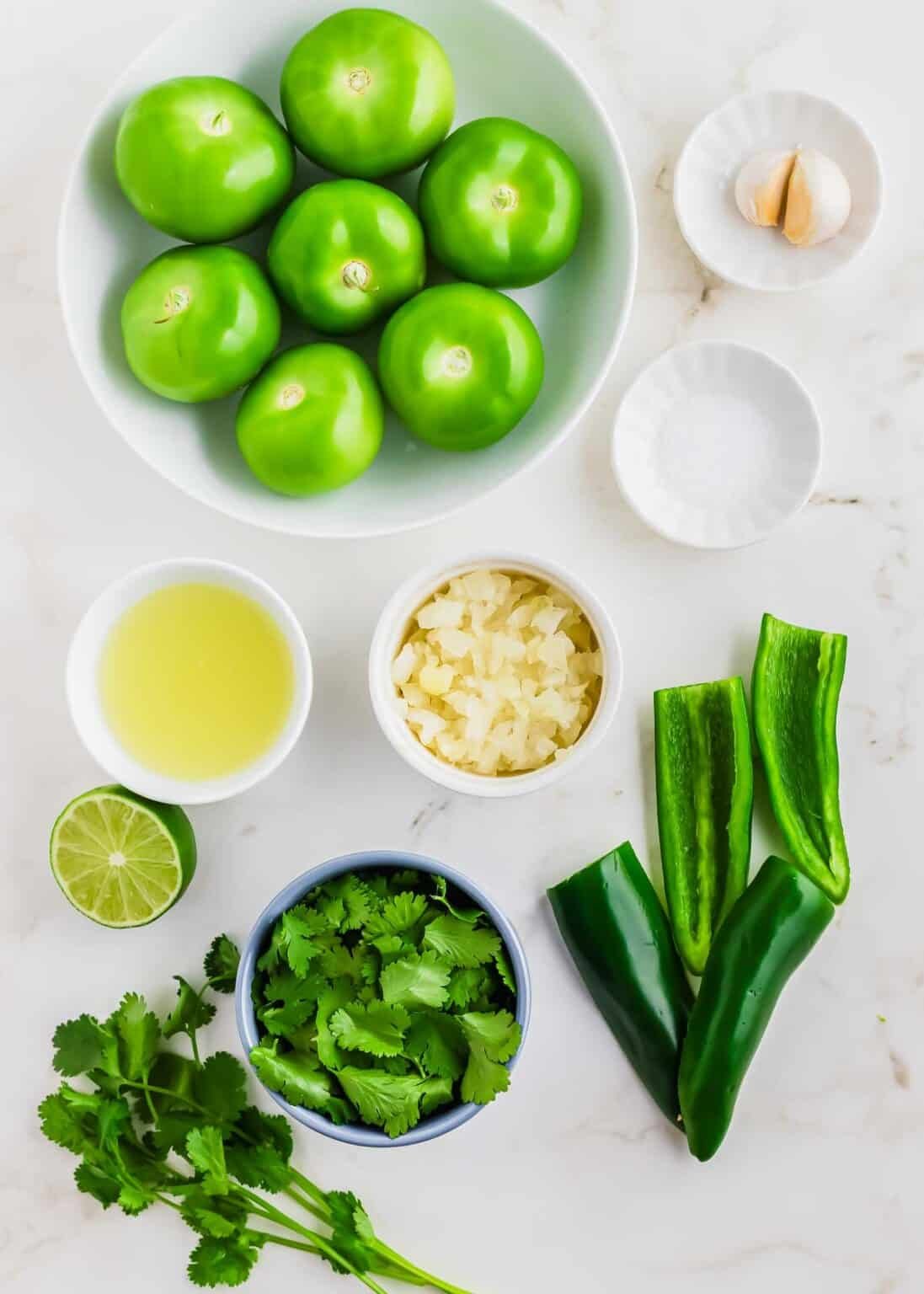 Easy Homemade Salsa Verde - Running to the Kitchen®