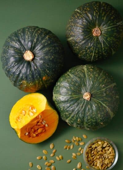 How to Freeze Pumpkin - Running to the Kitchen®